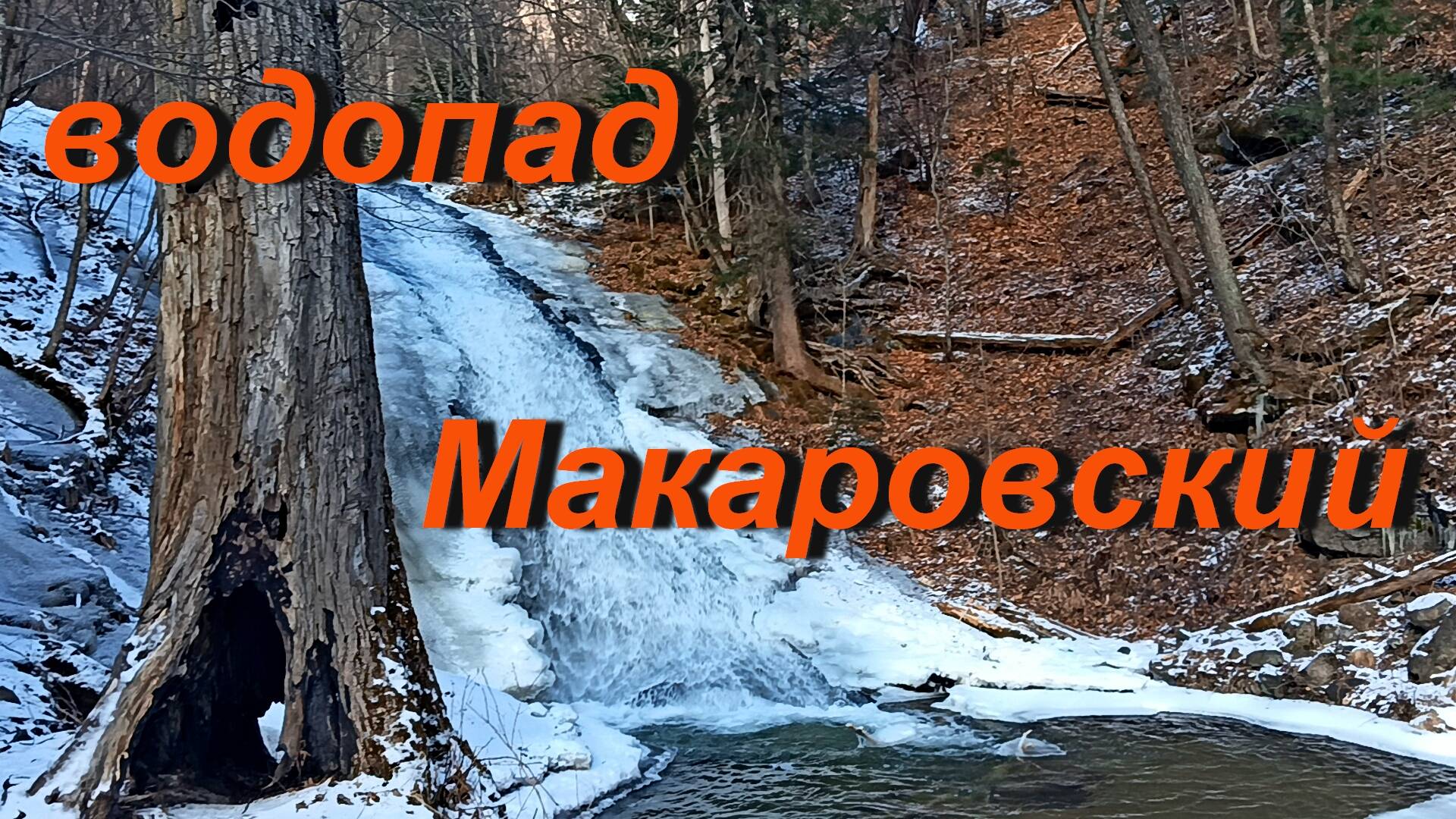 Макаровский 2024