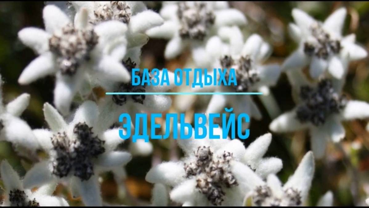 ЛЕЧЕНИЕ ПАНТОВЫМИ ВАННЫМИ НА АЛТАЕ