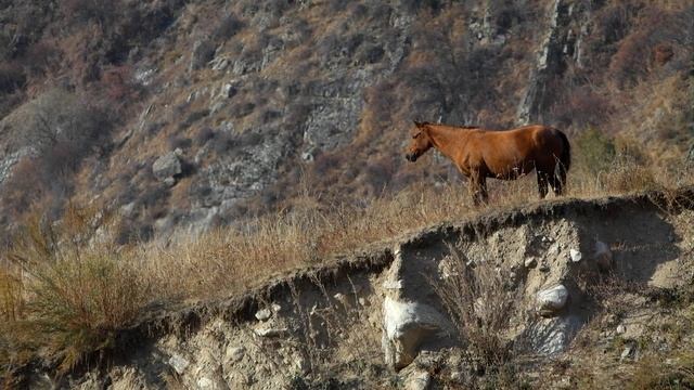 10983193-hd_1920_1080_30fps
