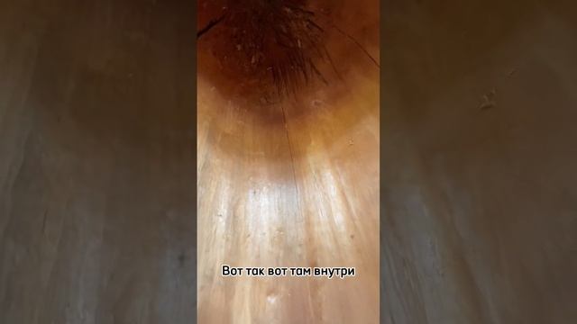 Винные шкафы из больших брёвен.Строительство по всему миру:+7(950)996-37-90 +7(950)974-40-20 #short