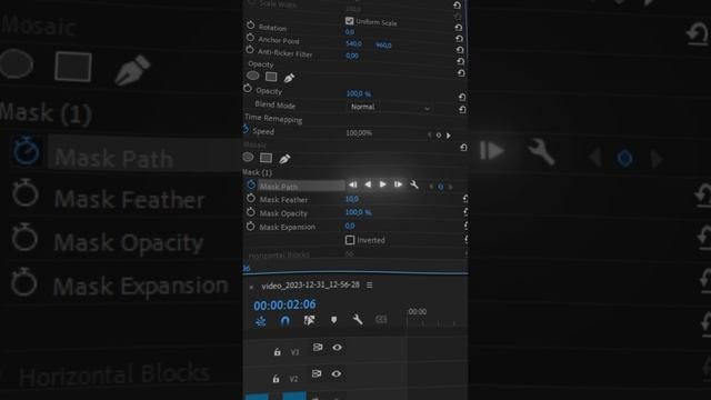 Как закрыть что-то пикселями в Premiere Pro