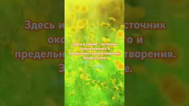 Здесь и сейчас - источник  окончательного и предельного удовлетворения. Экхарт Толле. #медитации #