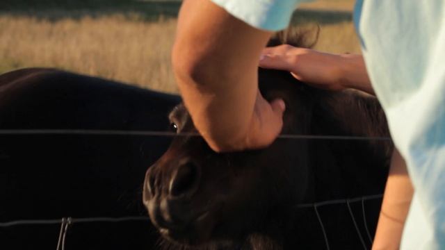 4734498-hd_1920_1080_25fps