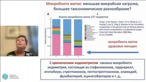 Вирус папилломы человека и фертильность. Акценты прегравидарной подготовки