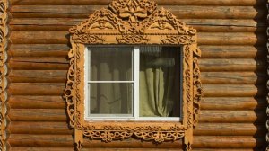 Об образовательной части агротуристического комплекса «Дикие белки»