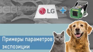Рентген PORTA 100HF + Детектор LG. Примеры параметров экспозиции.