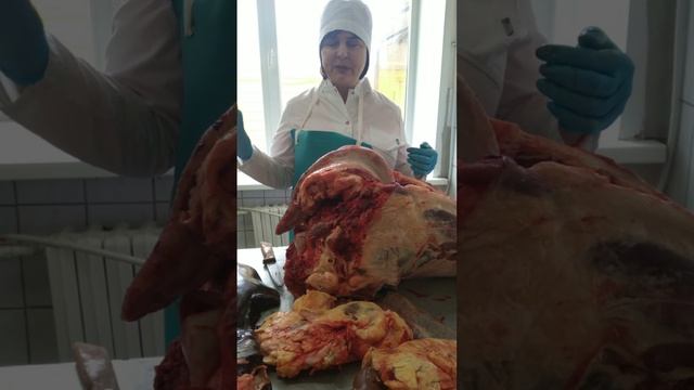 1 всэ рынок