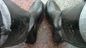 My new Burberry Man art. 1542 black gloss rubber boots.
