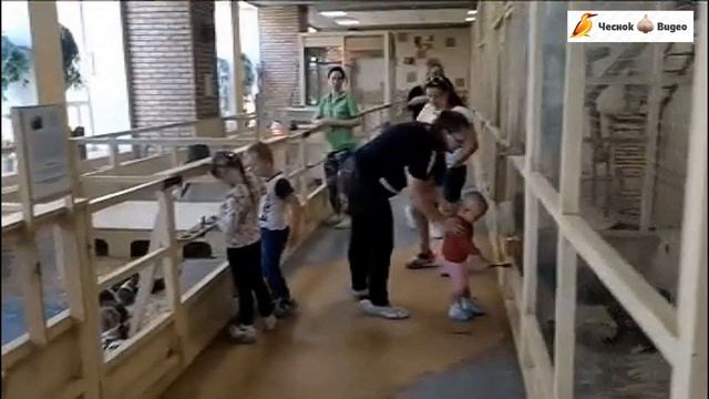 Новое Начало Московской новостной программы "Вести-Неделя в городе" с Я. Красиенко от 09.10.2022 Р-1