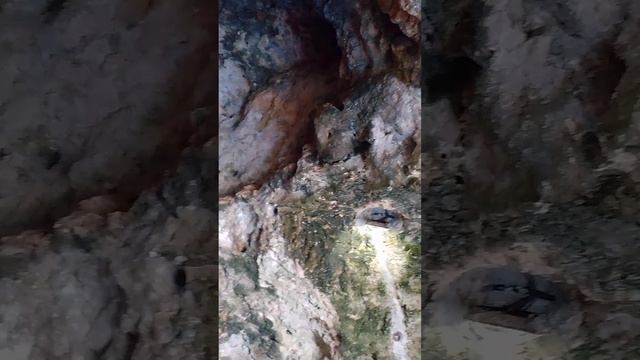 22 января 2023 г.