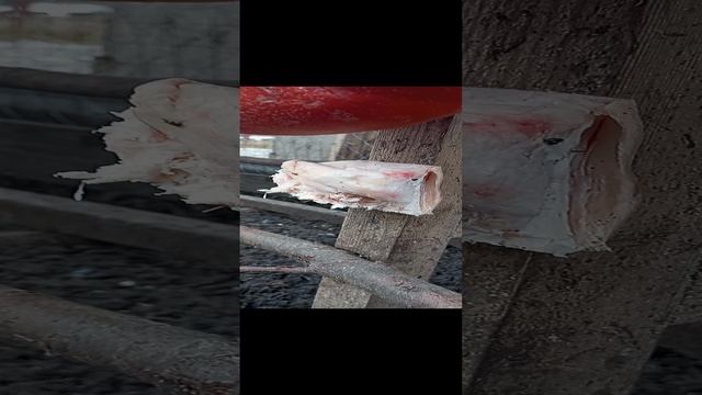 Последняя тыквочка