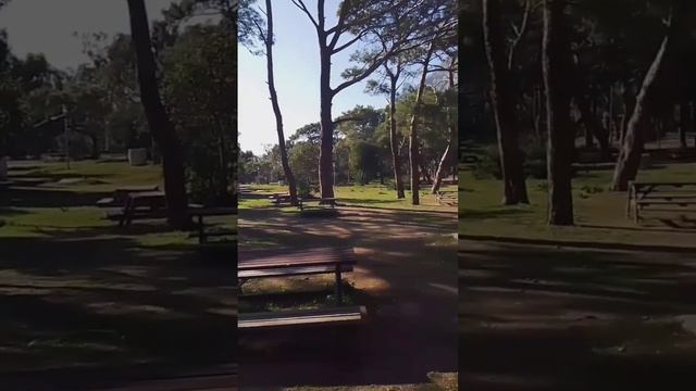 Анталья январь