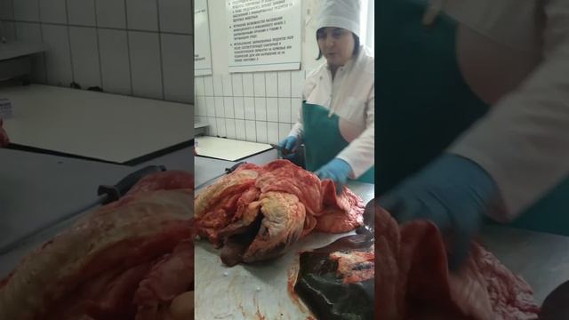 3 всэ рынок