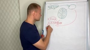 Визуализация