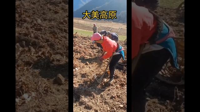 8 HP diesel engine 2-140 degrees swing arm spider excavator