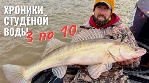 Хроники студёной воды v.2.0. ТРИ по ДЕСЯТЬ