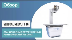 Обзор ветеринарного рентген аппарата Sedecal NEOVet F DR