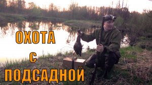 Открытие охоты с ПОДСАДНОЙ уткой 2024
