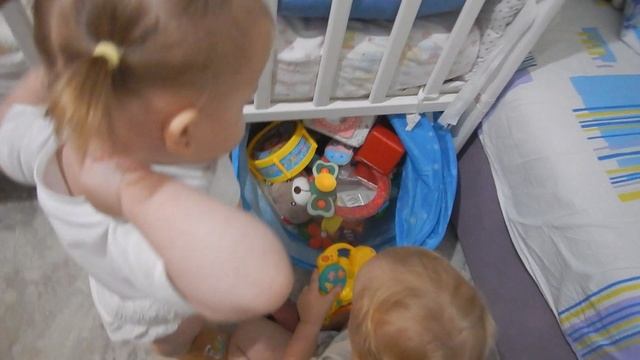 Красота! Красота! Мы везём с собой кота!