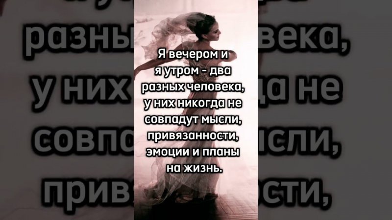 #shortvideo #цитаты #любовь #юмор