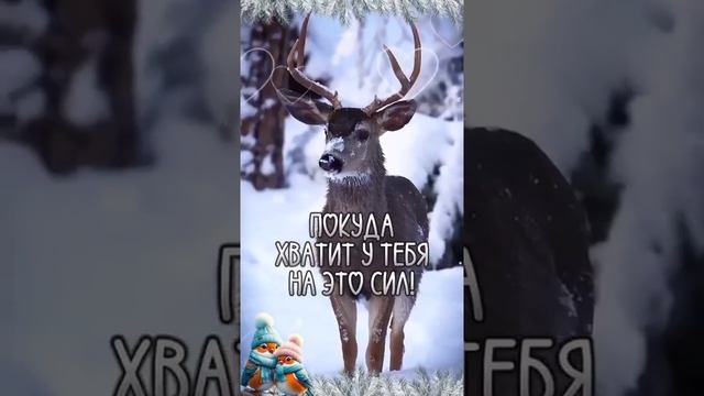 доброе утро