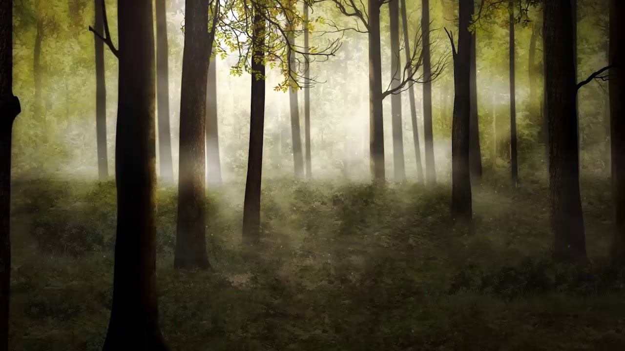 Музыка природы