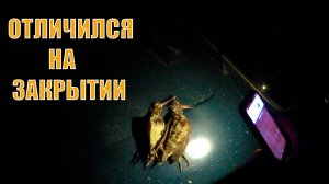 Закрытие весенней охоты 2024