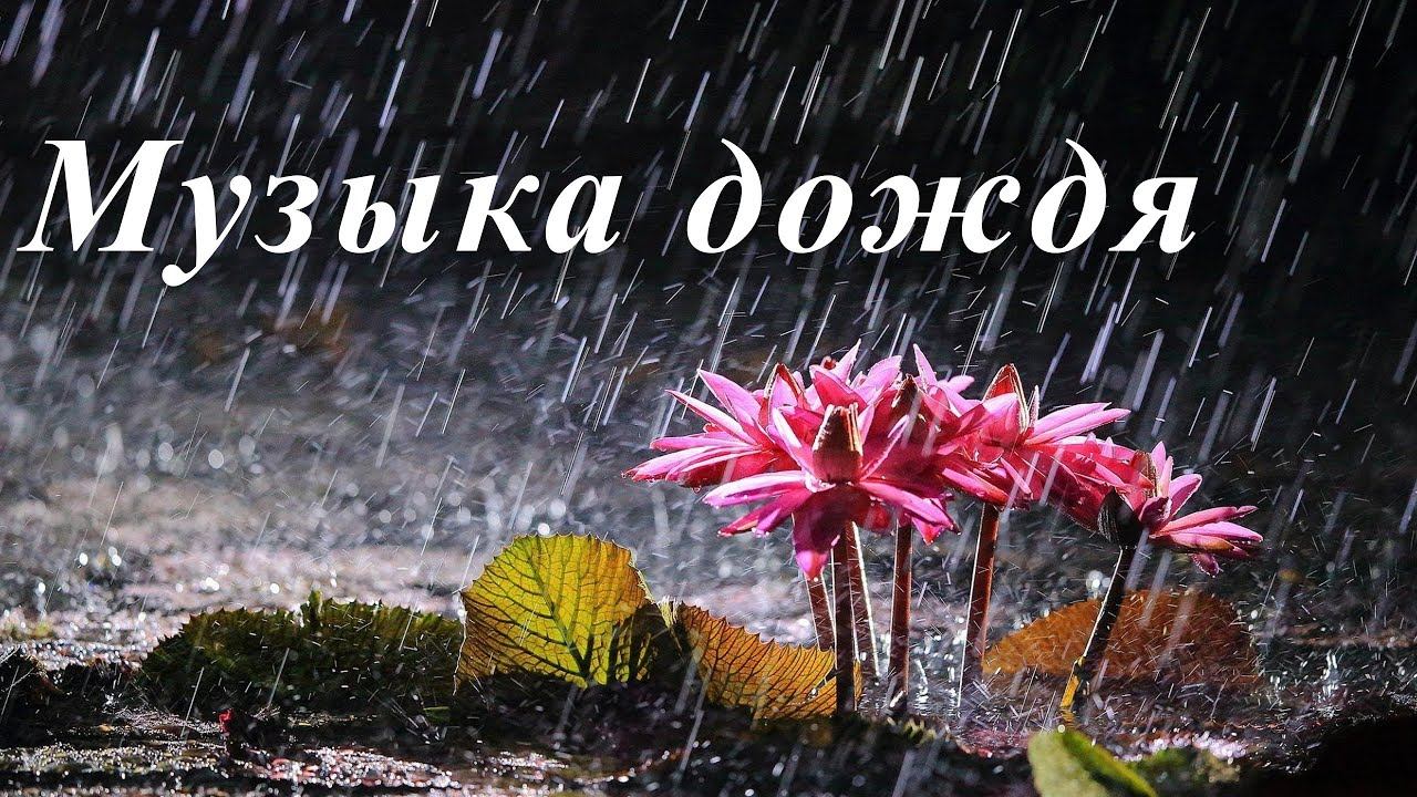 Музыка дождя
