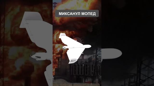 Цветёт Герань