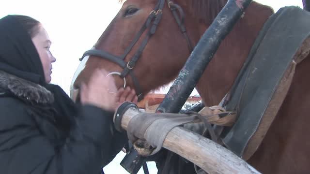 Катание на лошадях 2011г.