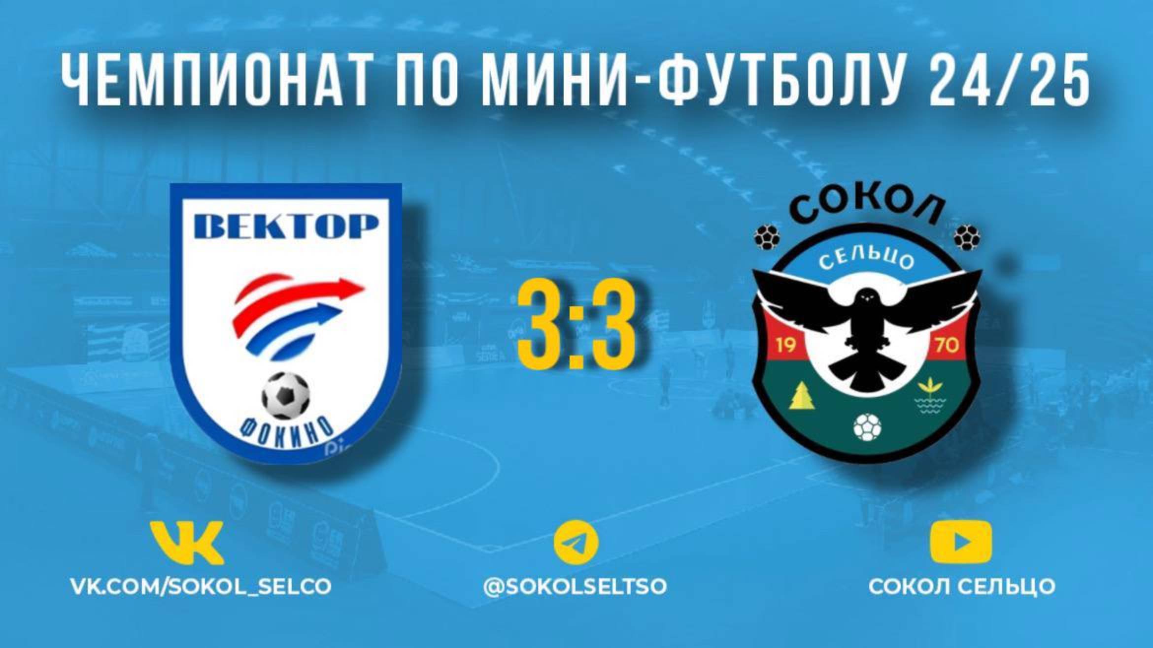 "Вектор" (Фокино)  —  "Сокол" (Сельцо) 1.12.24 обзор матча