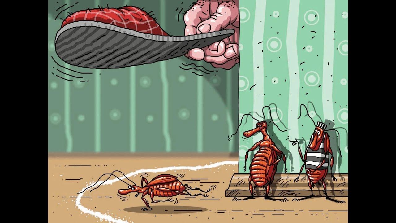 Тараканы. Детская песенка