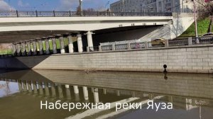 Обычная Москва. Осень 2024
