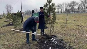Закладка аллеи на территории "Конезавод Курганинский"