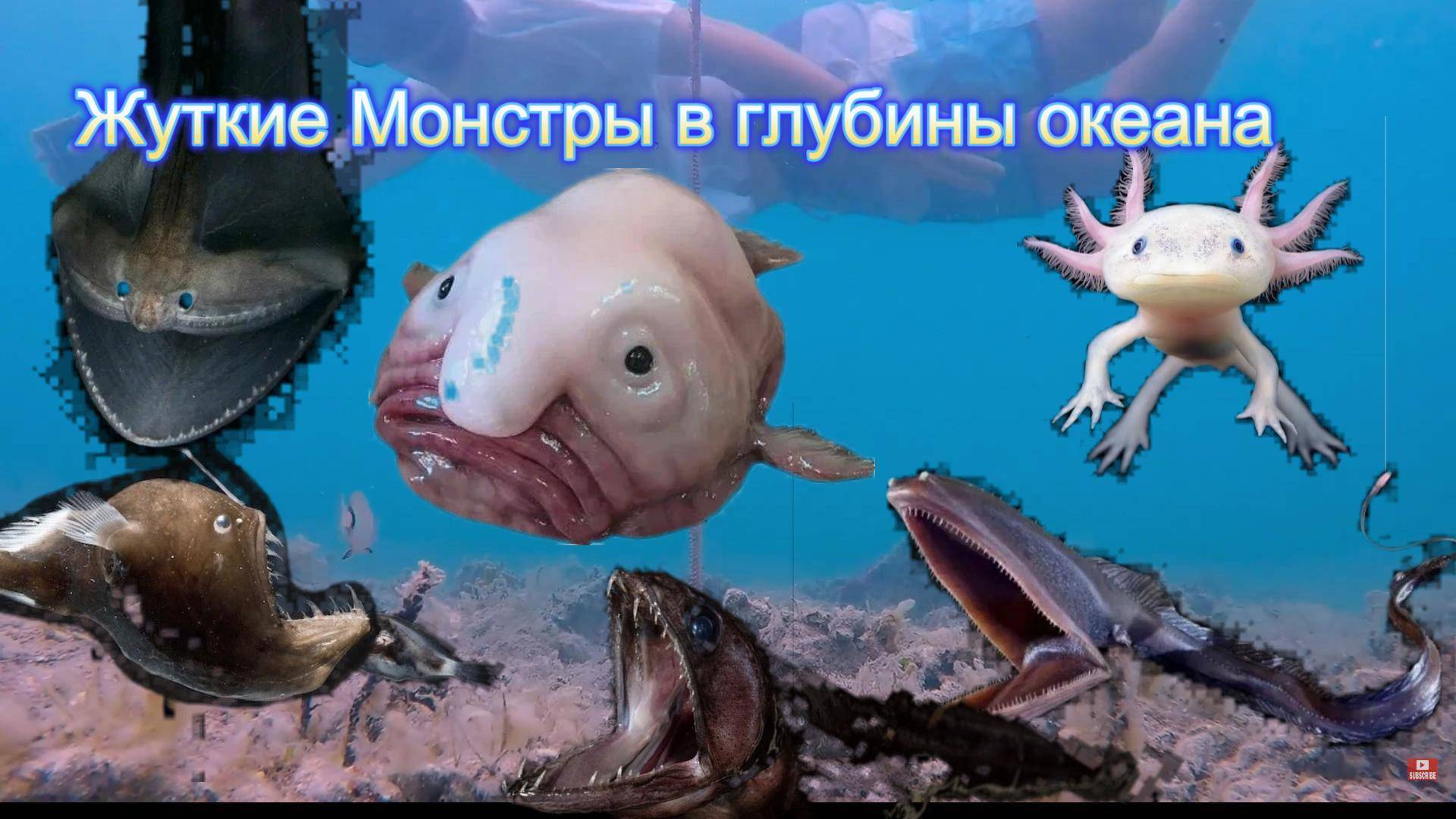 Жуткие рыбы в глубине океанов