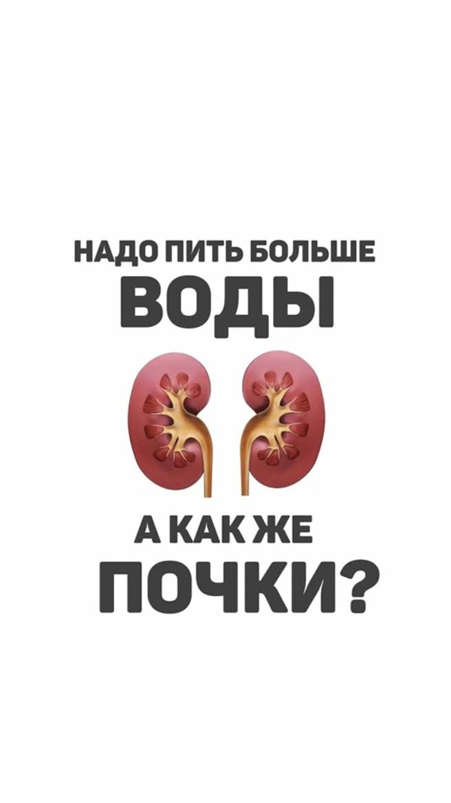 Можно ли посадить почки, если пить много воды? Алена Братишко