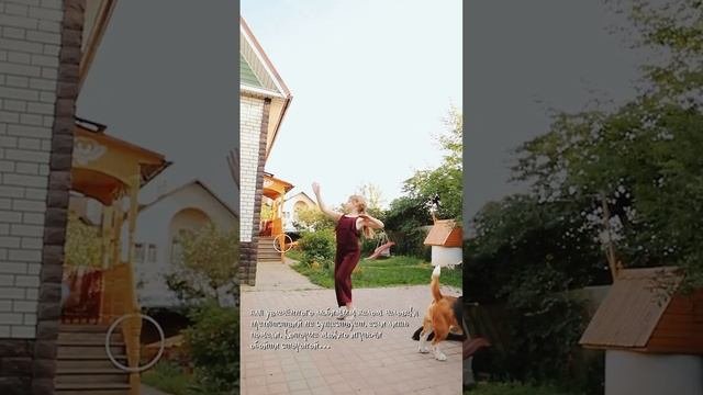 Жизнь в танцах 005