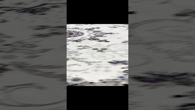 2275A_LIGHT BEİGE  LIGHT BEİGE прямой