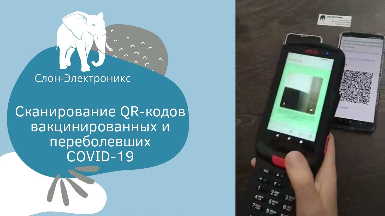 Сканируем QR-код вакцинированных и переболевших COVID-19
