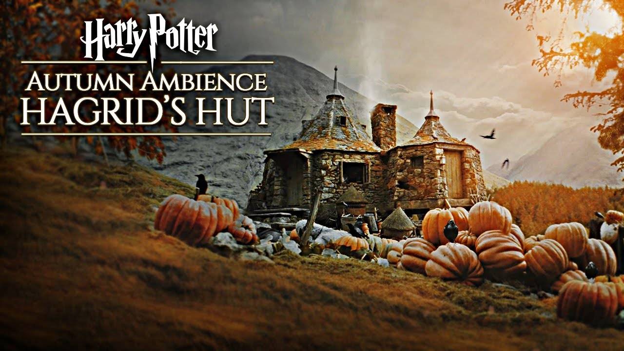 Autumn castle/Средневековый замок/Medival castle/dnd ambience/RPG playlist/fantasy