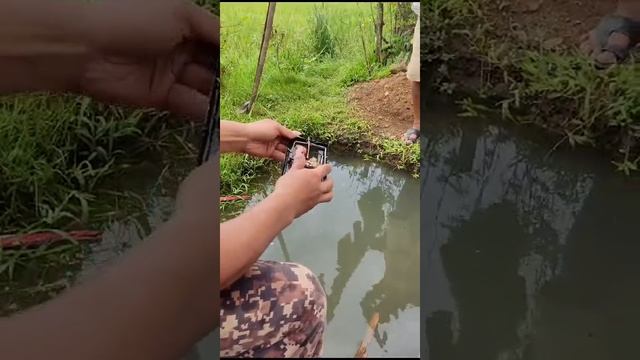 Ловить Рыбу Нужно Уметь