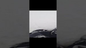 1000034447.mp4