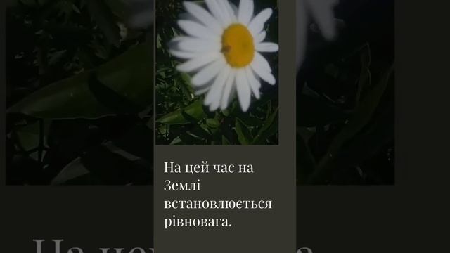 НАРЕЧЕНА для ЛЮЦИФЕРА, містичний роман
