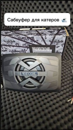 Необычный сабвуфер Recoil WS8 🛥