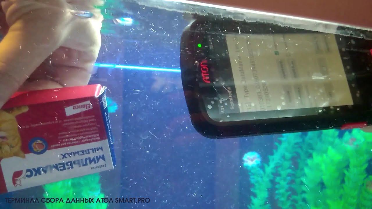 Топим ТСД АТОЛ Smart.Pro