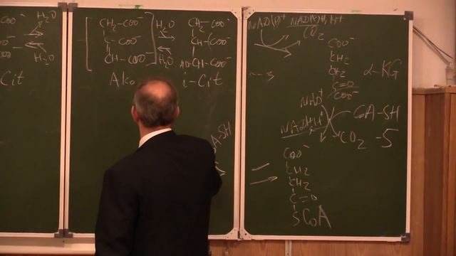 Гладилин А. К. - Биохимия - 11. Цикл трикарбоновых кислот