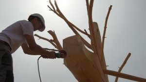 Охота за КЕДРОМ / CEDAR Hunting