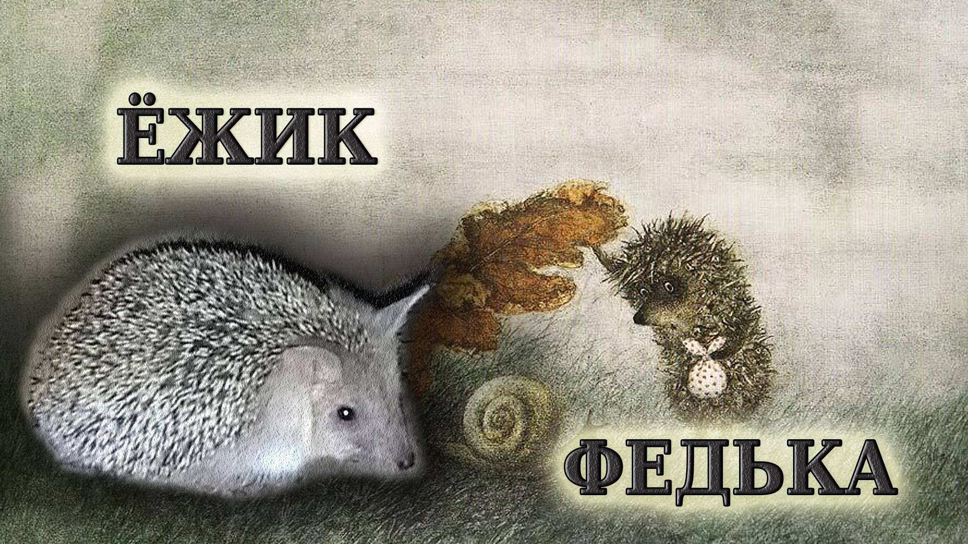 Ещё раз повстречали ёжика Федьку.