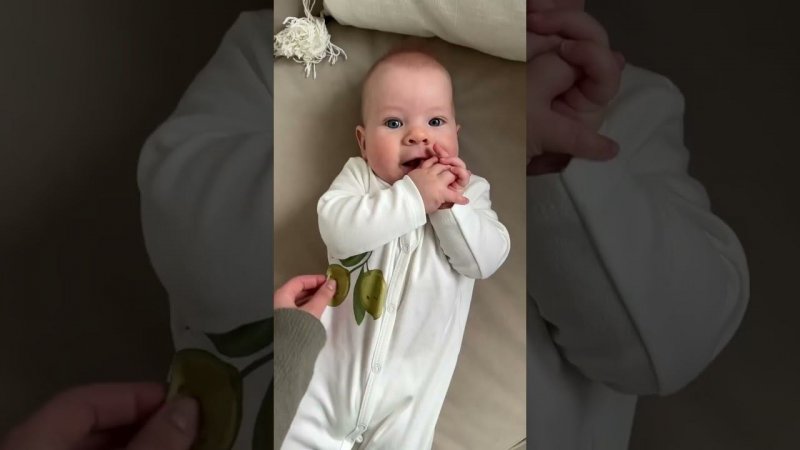 Стильные комбинезончики для малышей от бренда Luxury Baby (арт. на WB: 220565610)