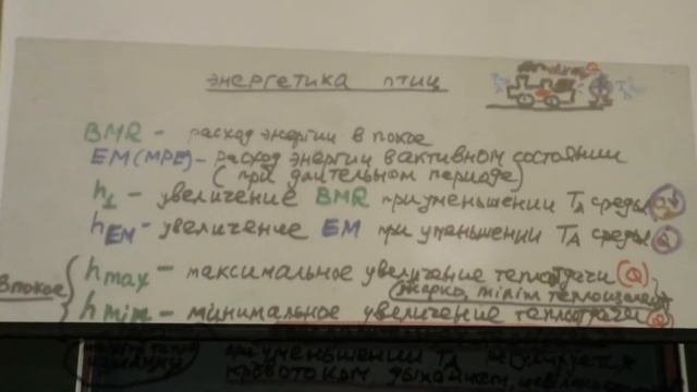 Рубин А.Б. - Биофизика. Часть 1 - 8. Т-ма Пригожина. Роль энтропии и информации в биол. процессах